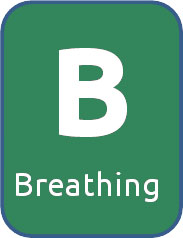 The Dr’s ABC | Physical Sports First Aid Blog